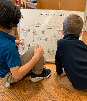 A Shared Vision of Peace: How Montessori Embodies the Values of Dr ...