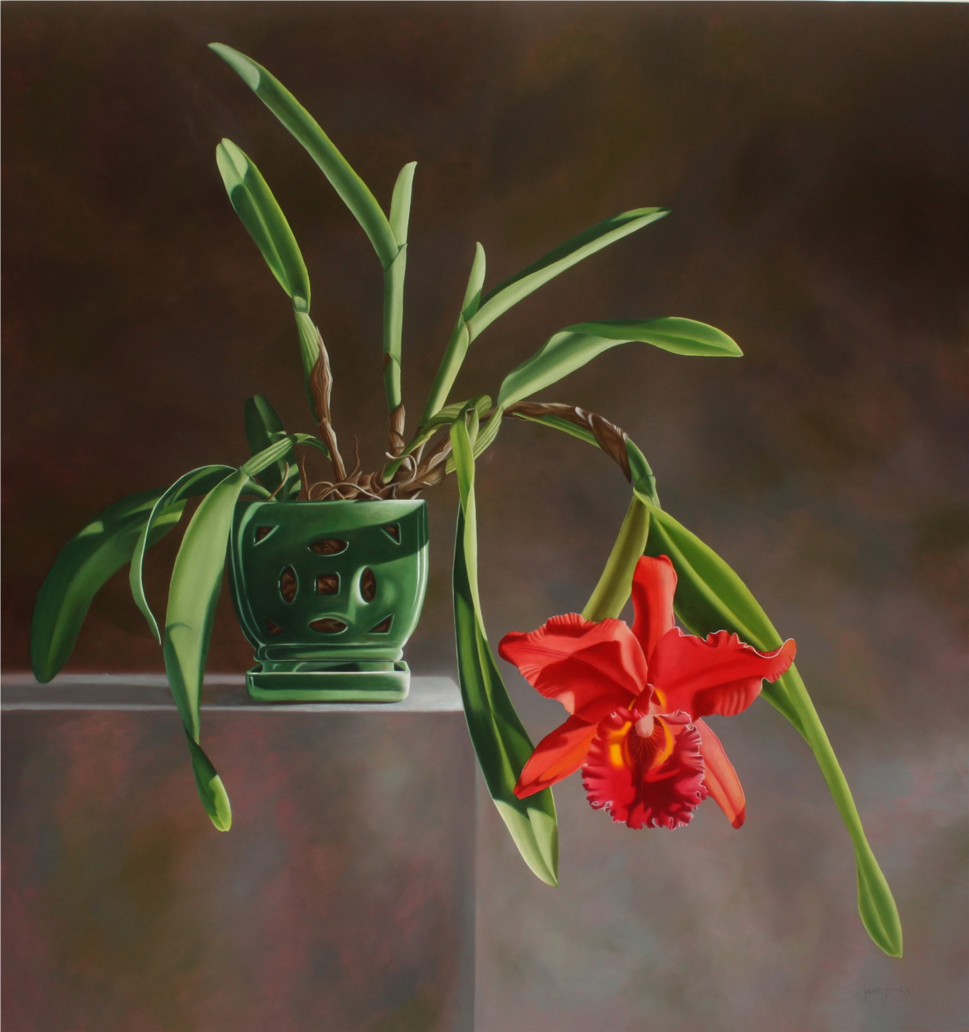 Jane Jones | United States | (505) 438-2958