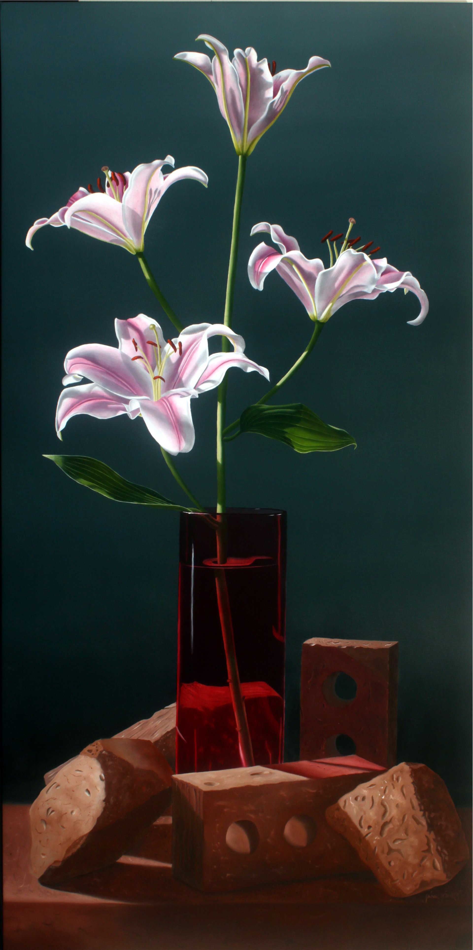 Jane Jones | United States | (505) 438-2958