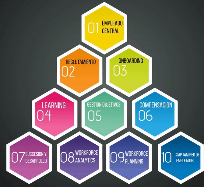 Sap Successfactors , Sap RRHH Módulo Sap Successfactors SSFF