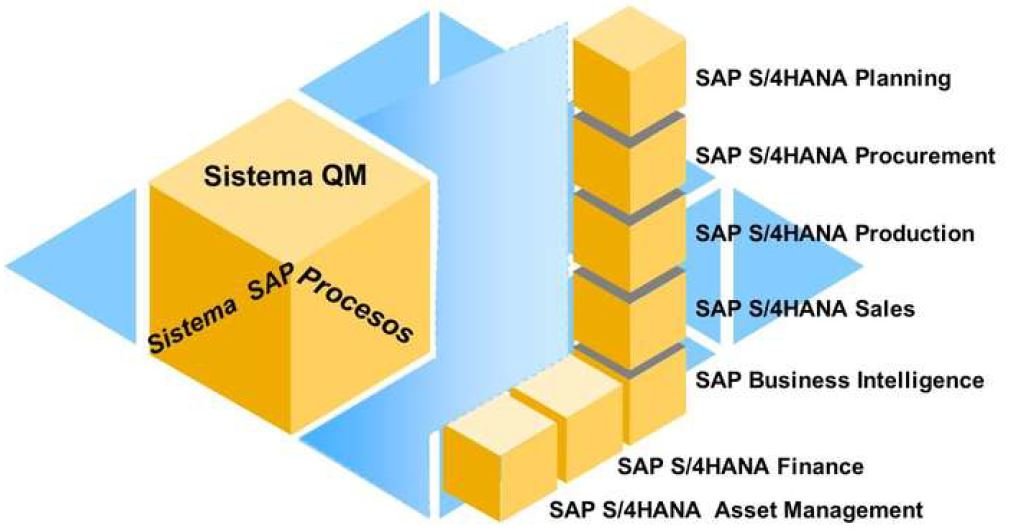Sap QM-Sap Calidad Sap QM S/4 Hana, Módulo Sap Calidad qm s/4 hana