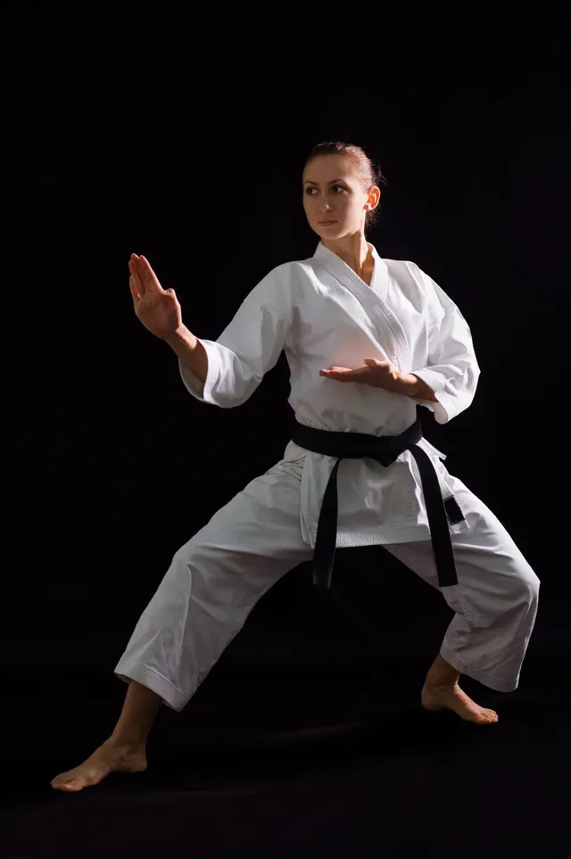 Contact Go No Sen Karate | Yorktown, NY