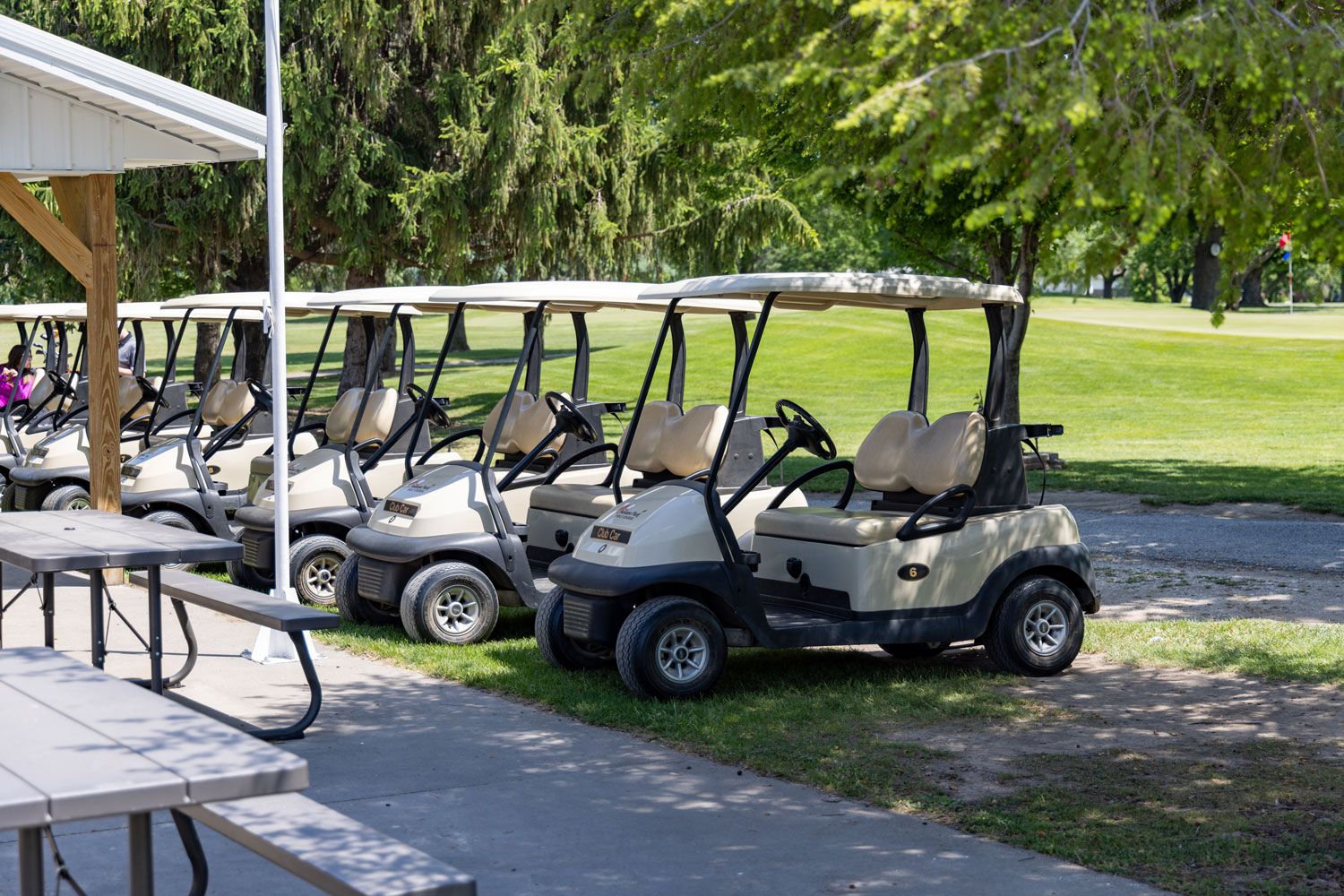Jackson Park Golf Course - Palmyra, MO