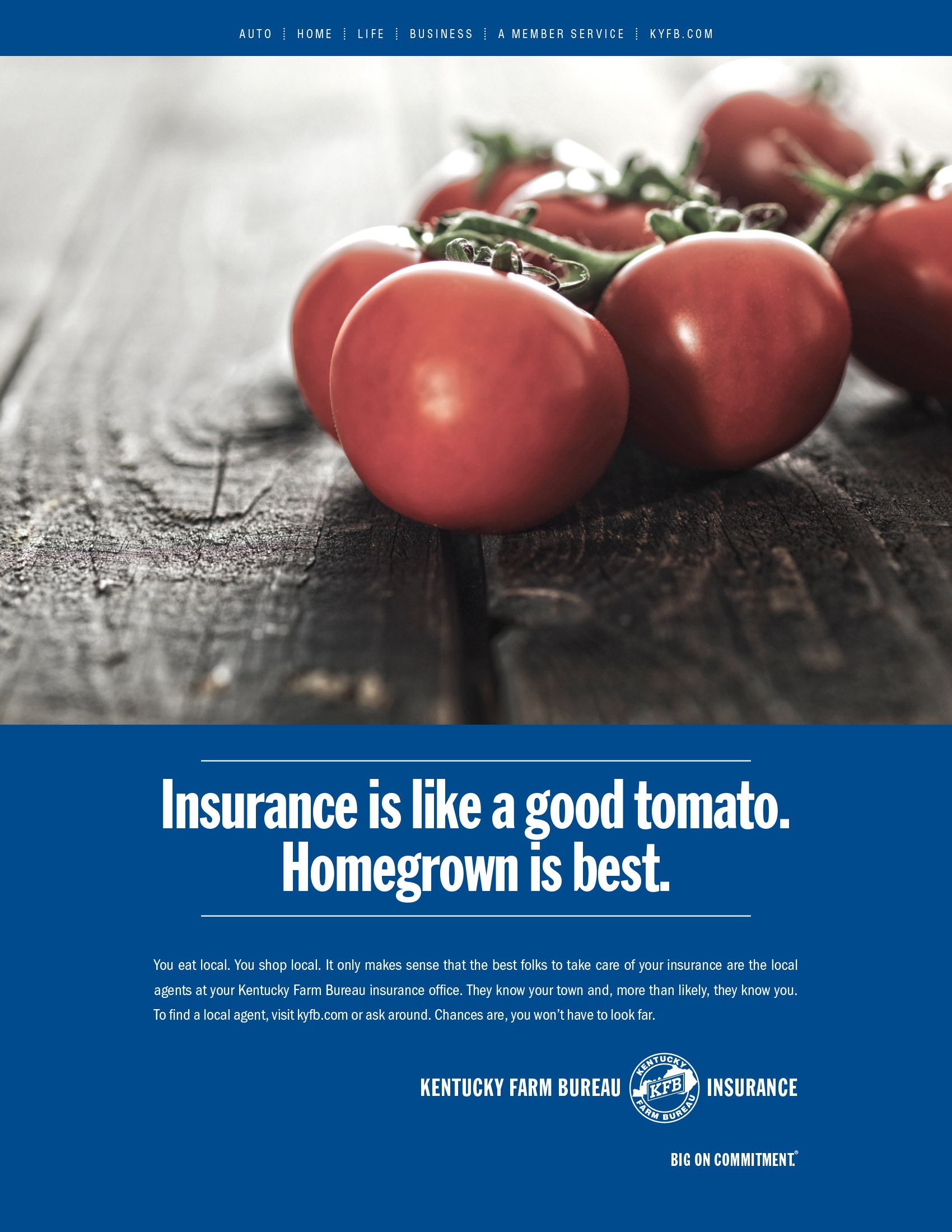 Kentucky Farm Bureau | Red7e Advertising Agency