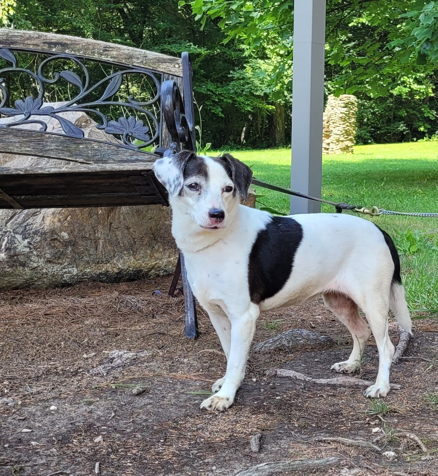 Easdale Pet Care-Rates and Fees | Easdale Best Pet Care | Akron, OH