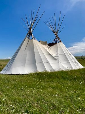 Home [www.blackfeettours.com]