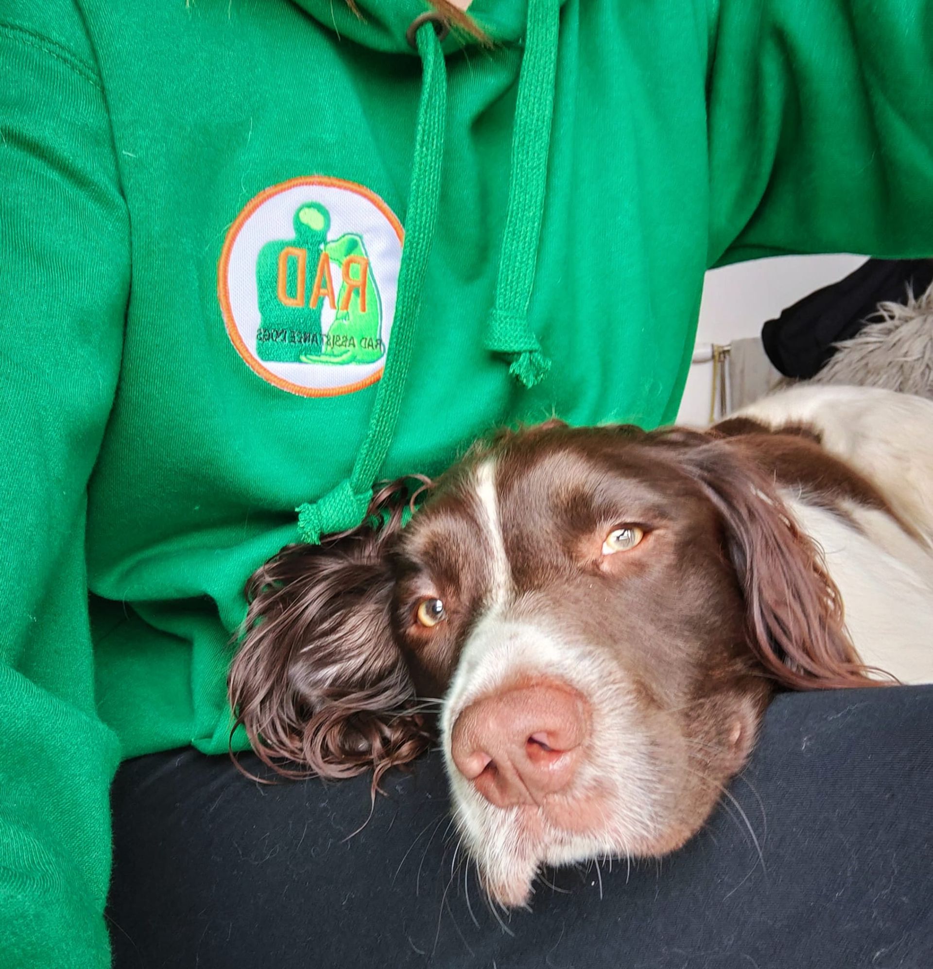 RAD Assistance Dogs - Assistance Dogs - Leicester, England