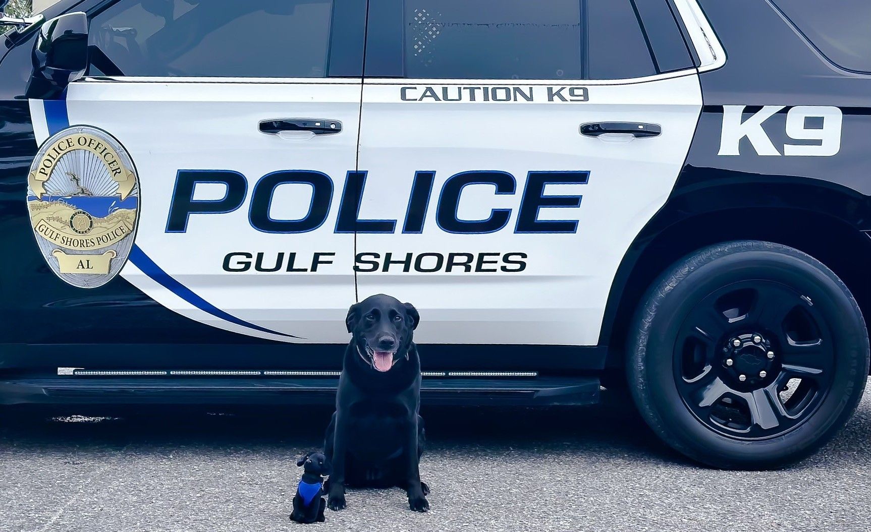 A ‘Darlin’ Life: Gulf Shores K9 Officer Hangs Up Her Handcuffs