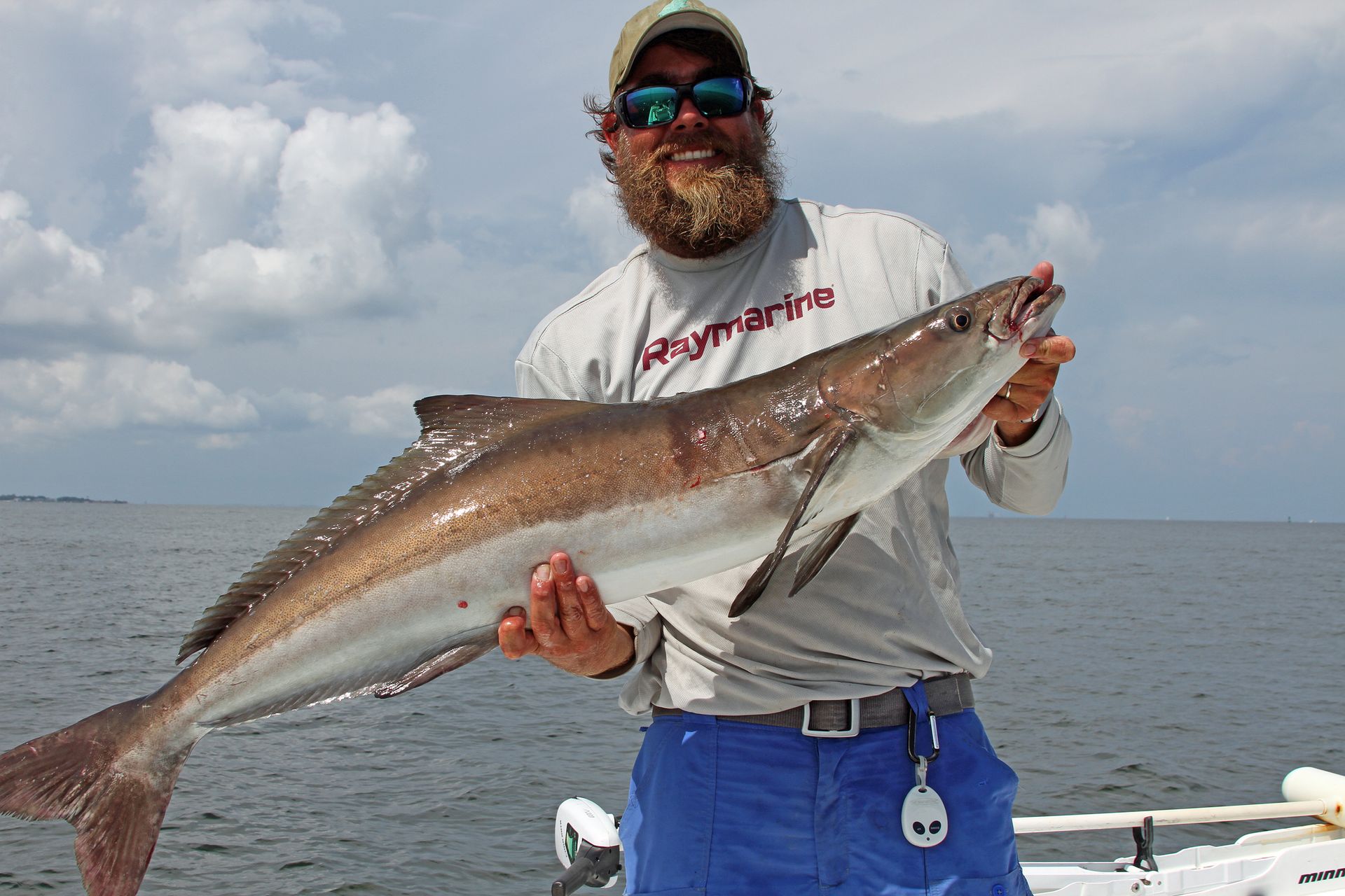 Gulf Researchers Launch Major Study On Cobia And Tripletail