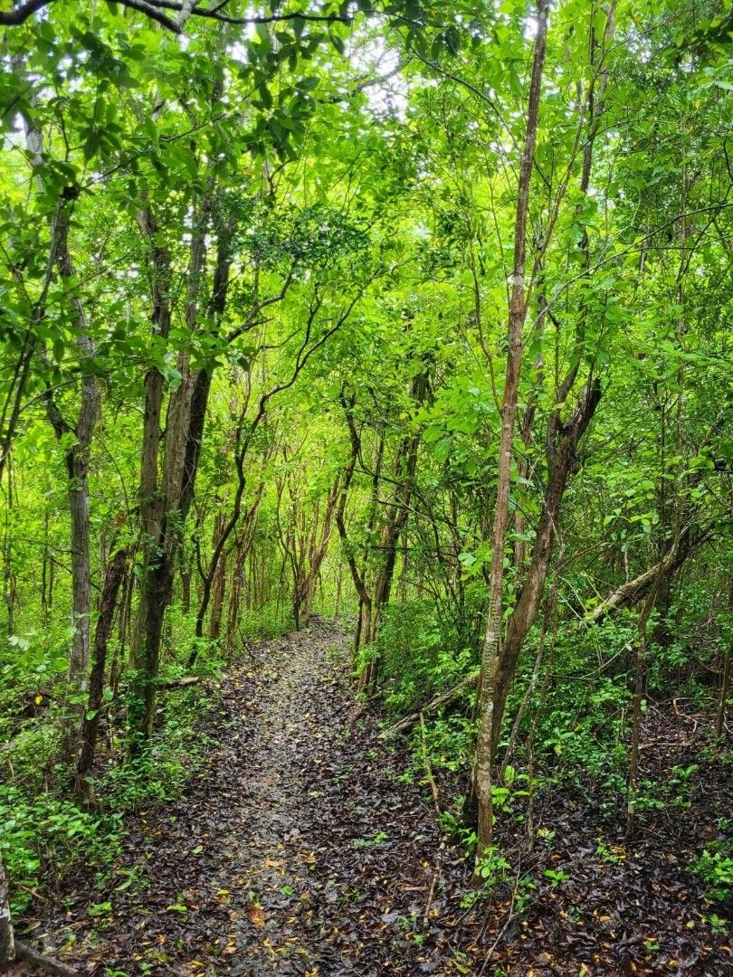 St. Croix in the Virgin Islands: Explore & Discover History