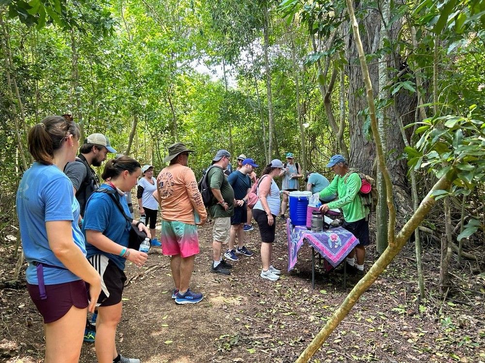 St Croix Rainforest Hike – Explore Creque Dam Trail