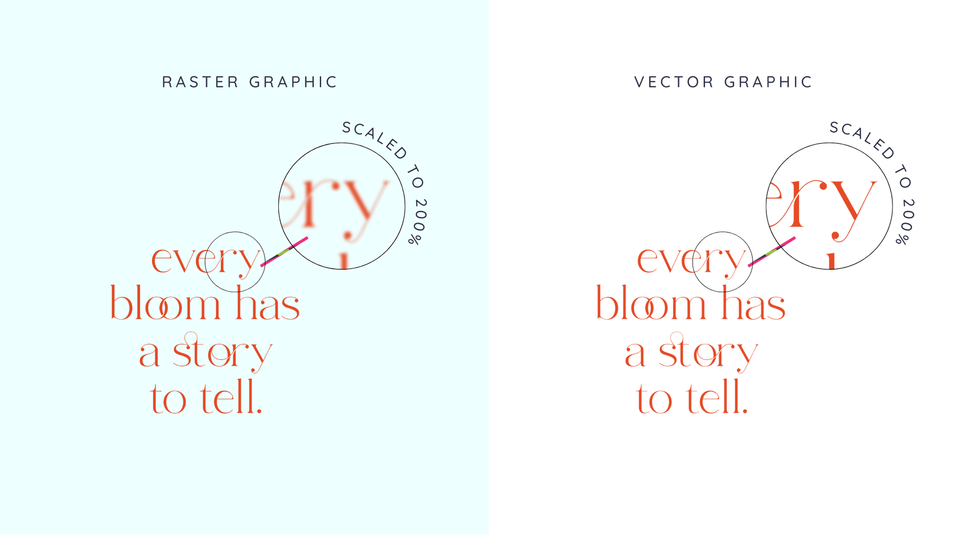 Small Biz Guide to Graphic Design Terms: File Types Explained