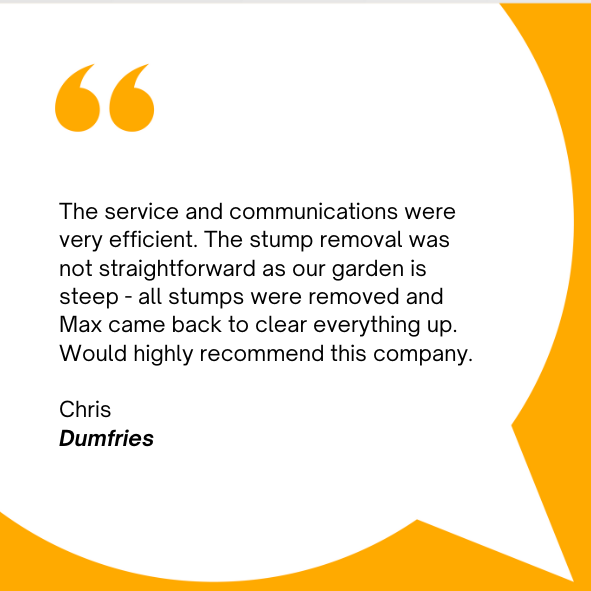 Expert Tree Stump Removal - Southern Scotland & Beyond