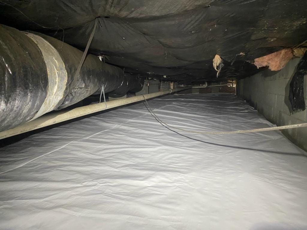 Pest Control & Crawl Space Solutions