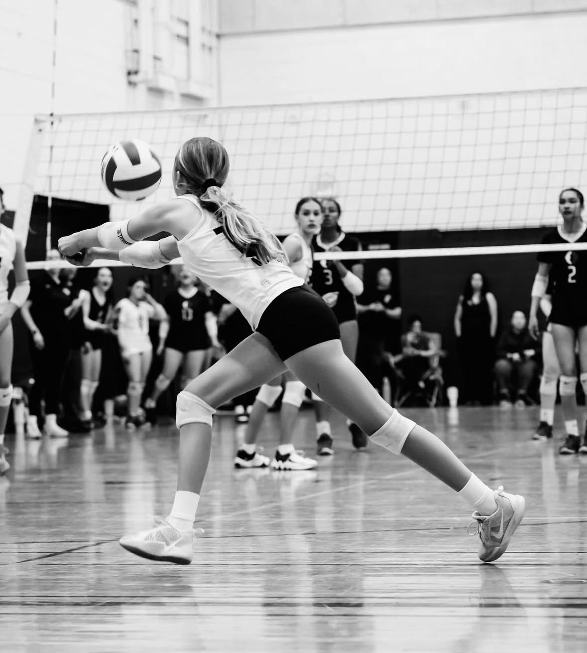 Scottsdale Volleyball Club and Training