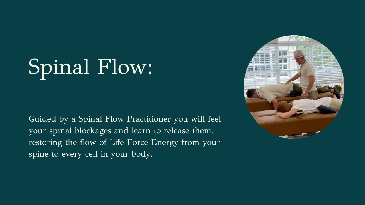 Spinal Flow Healing Sarasota | Divine Spark Wellness