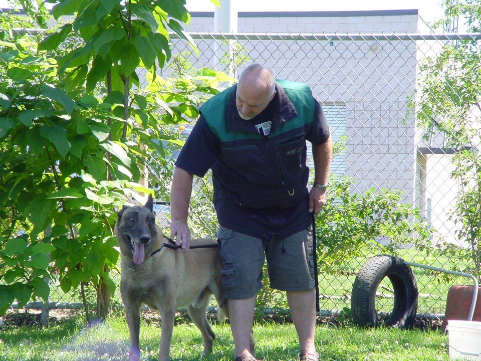 Dog Obedience Training Long Island | Puppy & Adult Classes – The K-9 Center