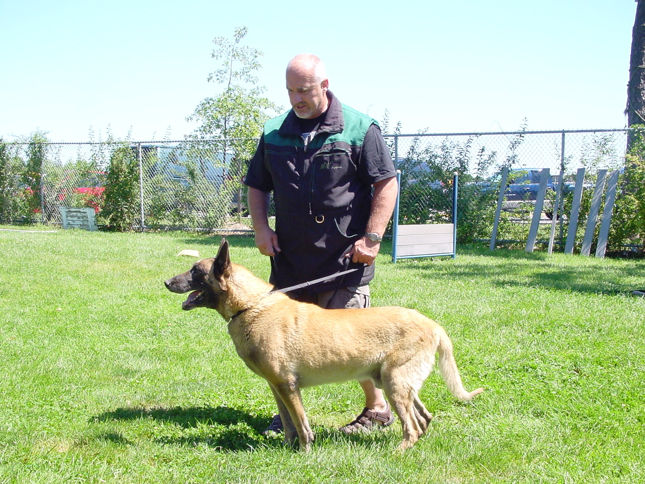 Dog Obedience Training Long Island | Puppy & Adult Classes – The K-9 Center