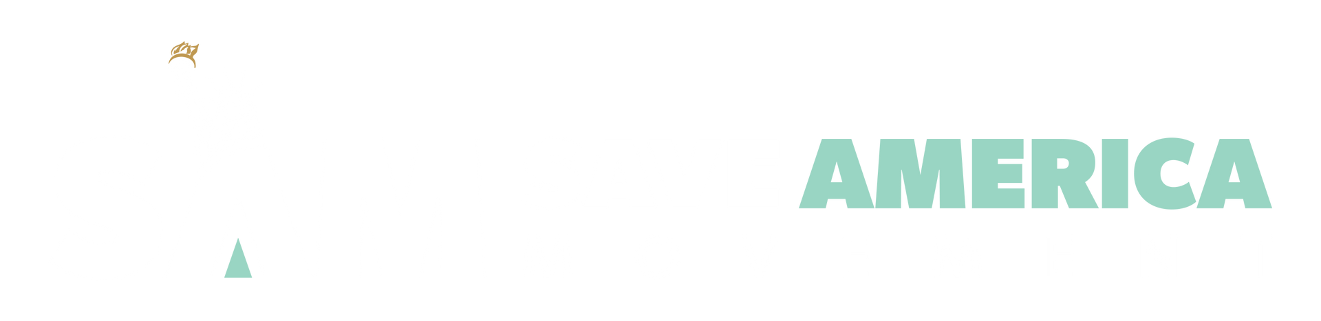 The Save America Movement