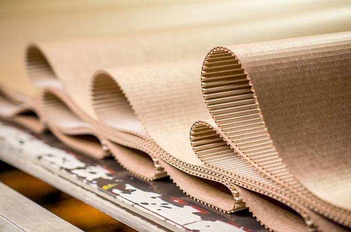 Productos para curtición en León y Guadalajara - PRODUCTOS CURTIENTES