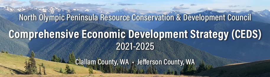 Comprehensive Economic Development Strategy