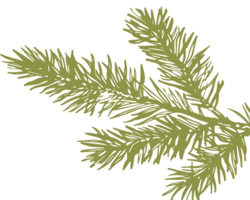 CUSTOMIZABLE COLLATERAL - Climate Action Toolkit