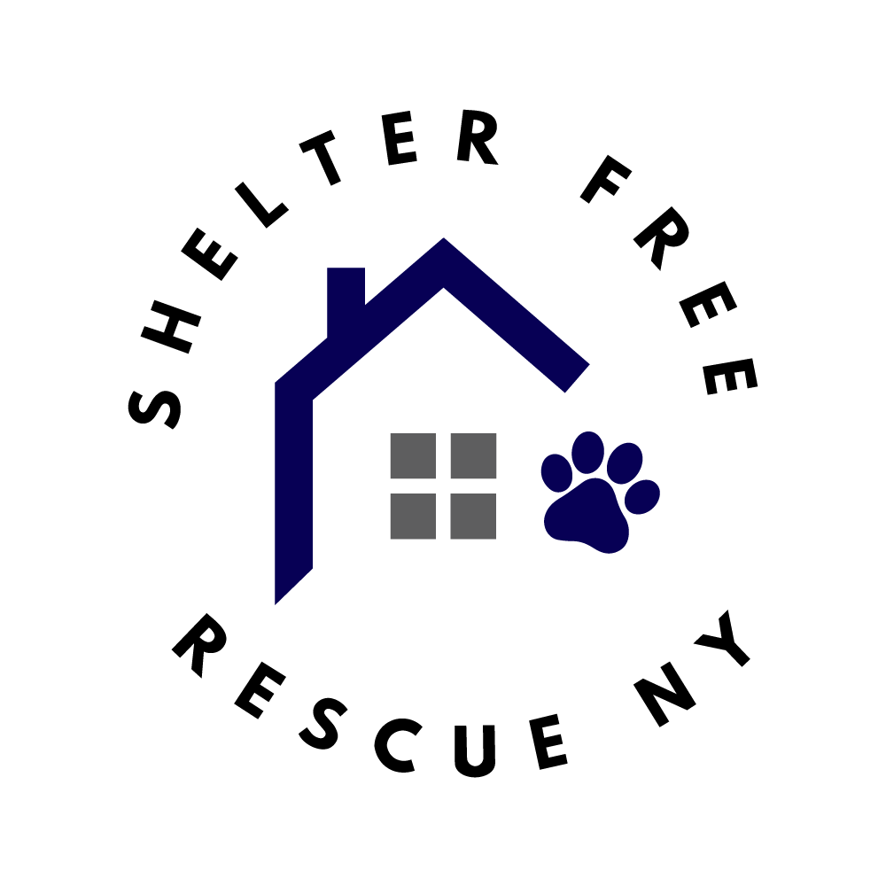 Shelter Free Rescue NY - Home