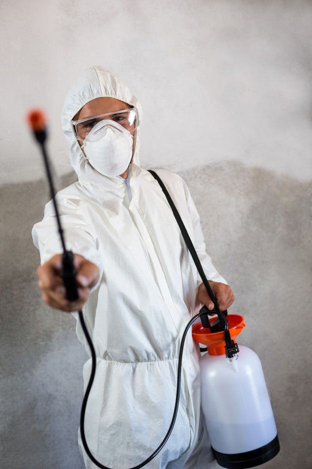 Integrated Pest Management (IPM): The Modern Approach to Pest Control