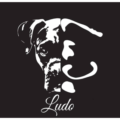 Lounge Bar a Ferrara | Ludo Cocktail Bar