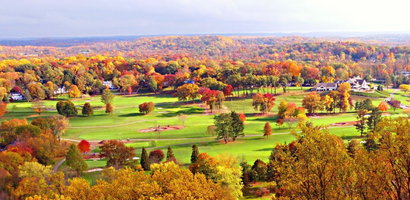 Home | Sofia South Plainsfield | NJ