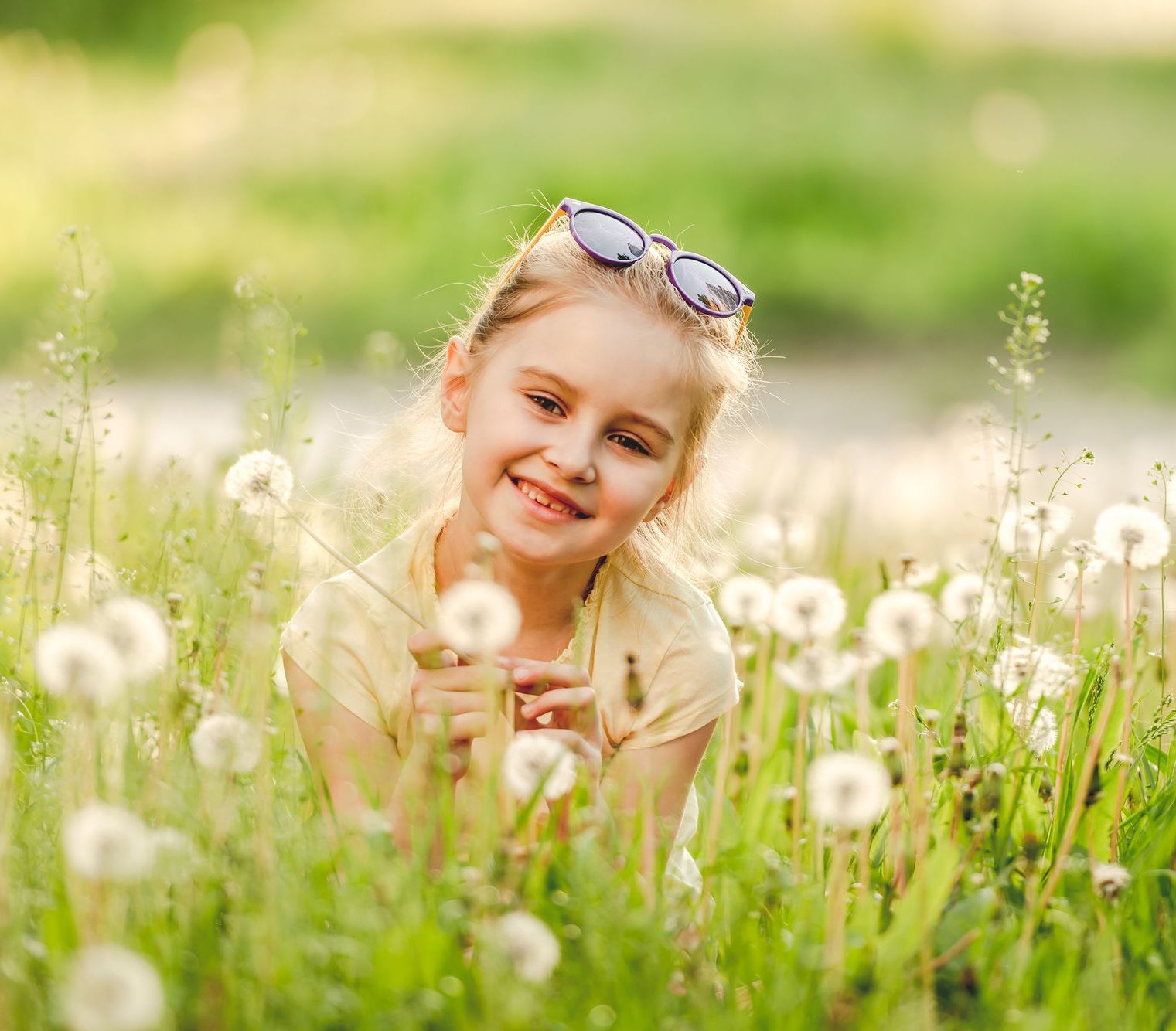 SiShield Technologies - Antimicrobial Solutions