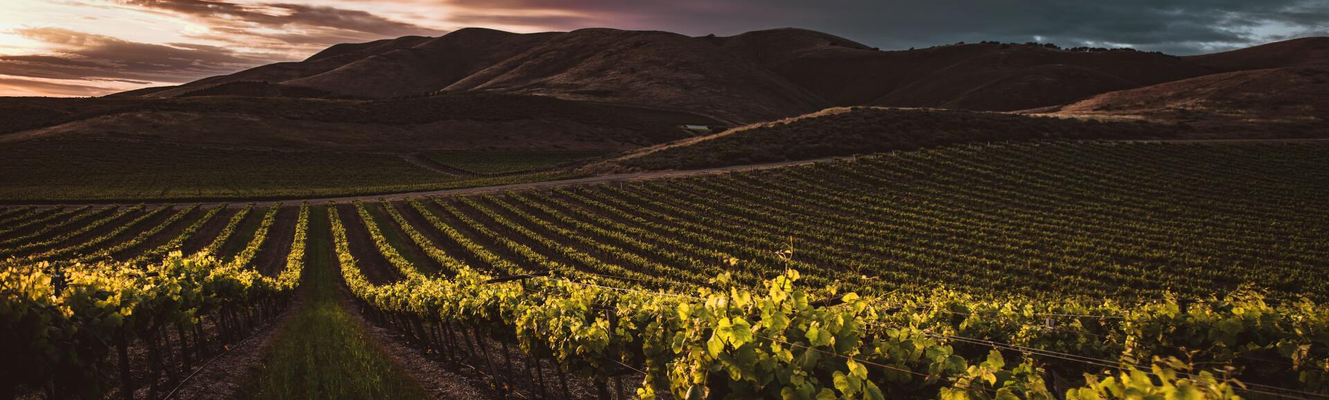 Guide to Ray Roberts Lake State Park | Lone Oak Ranch and Retreat