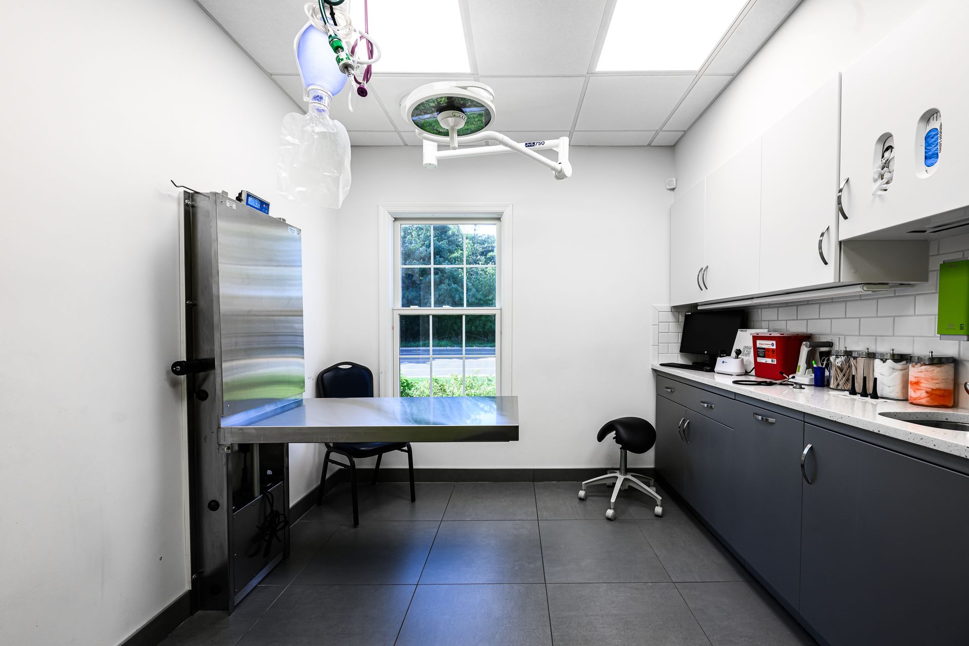 Veterinarians in East Setauket, NY | Emergency Veterinary Care – Pet ER ...