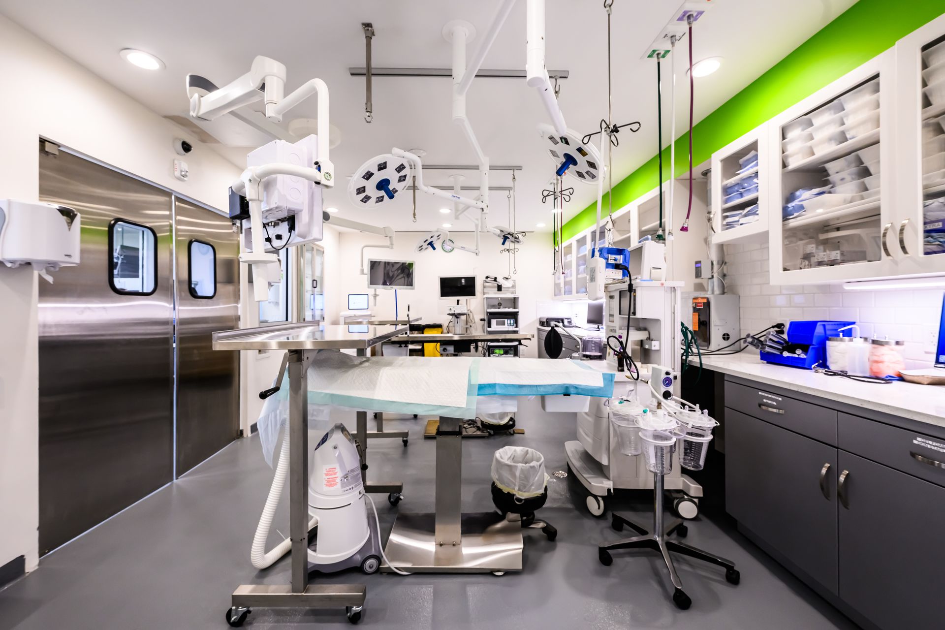 Veterinarians in East Setauket, NY | Emergency Veterinary Care – Pet ER ...