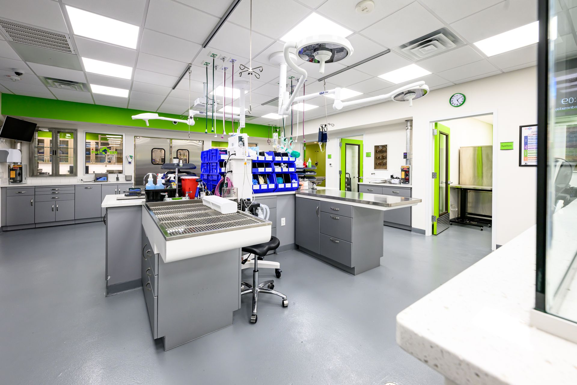 Veterinarians in East Setauket, NY | Emergency Veterinary Care – Pet ER ...