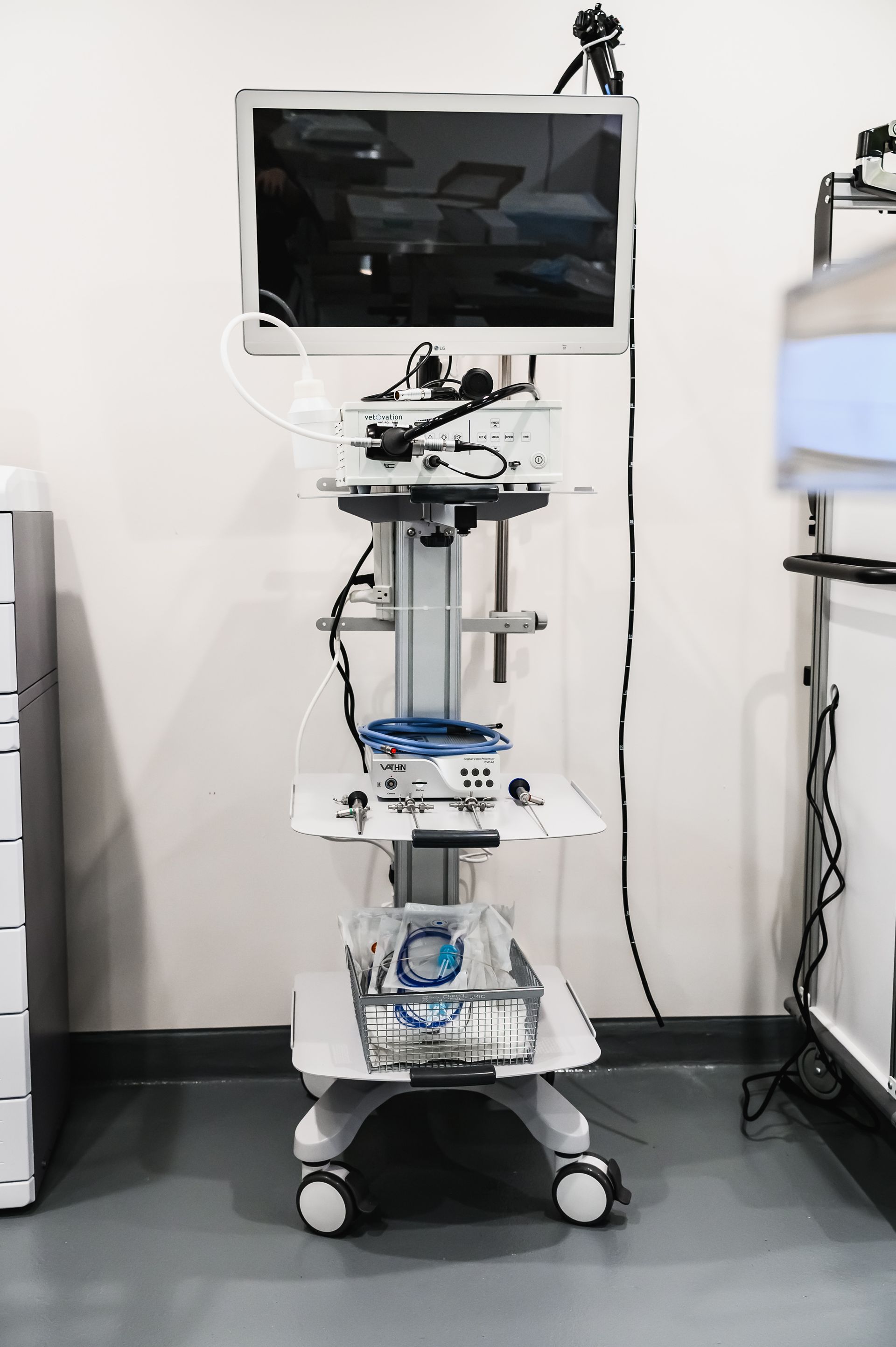 Veterinarians in East Setauket, NY | Emergency Veterinary Care – Pet ER ...