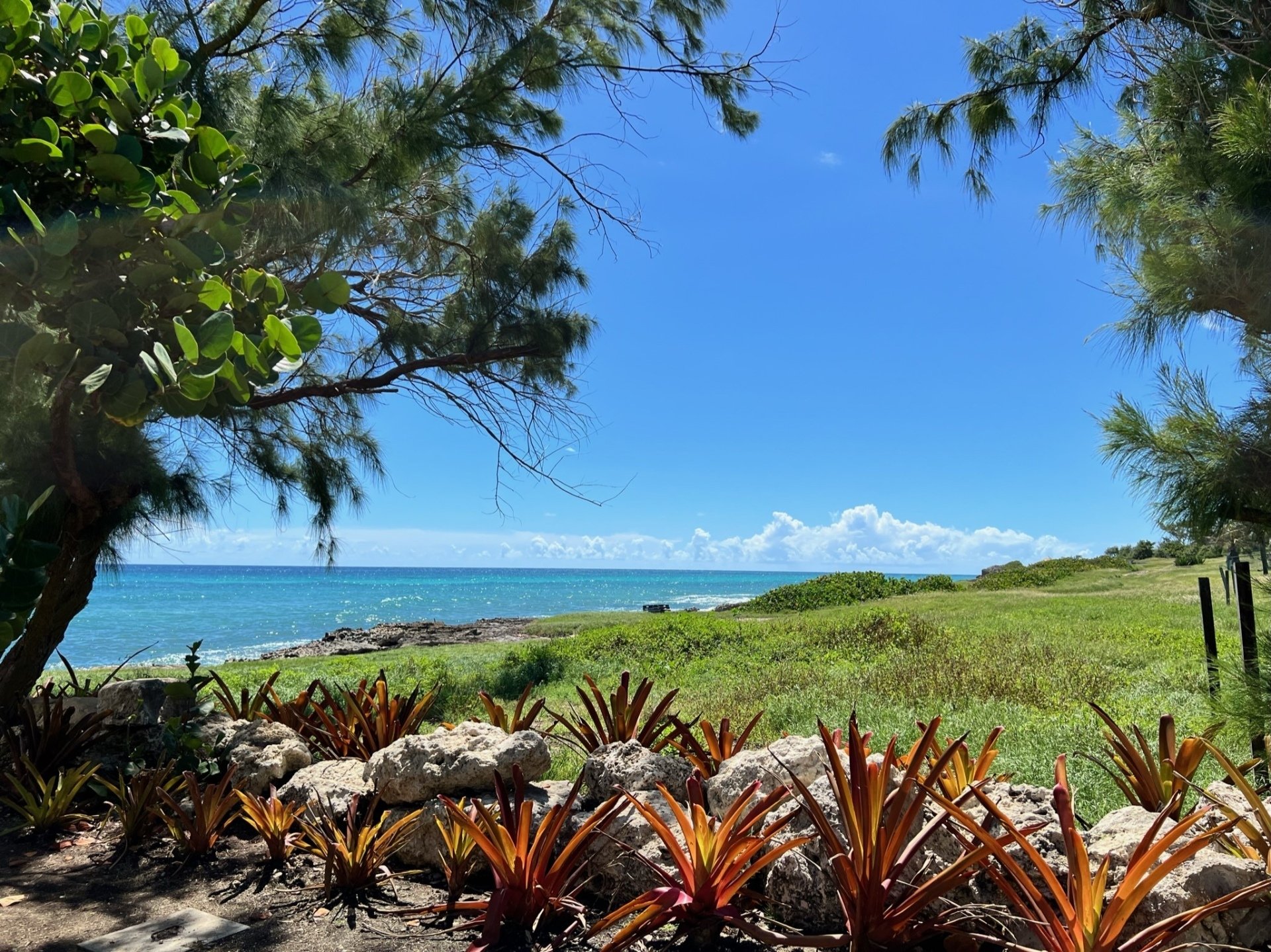 Ocean Blue Resort | Beautiful oceanfront boutique south coast hotel in ...