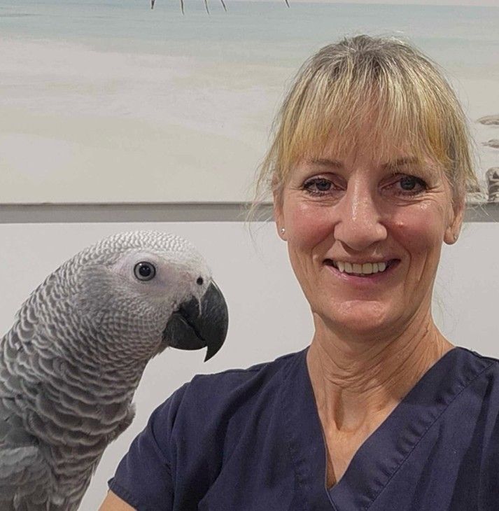 Compassionate Pet Care & Vet Services | Currajong, QLD