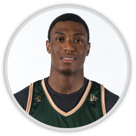 The Rattlers Professional Basketball Team