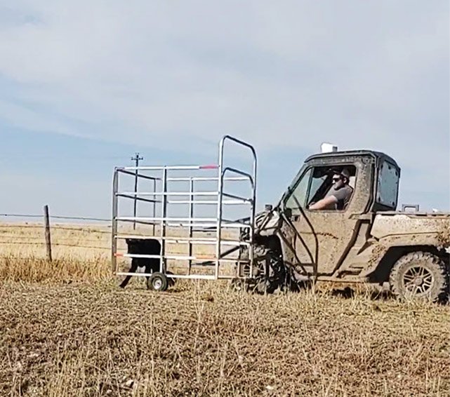 Calf Catcher | Fast Catch Calf Catcher for Side-By-Side