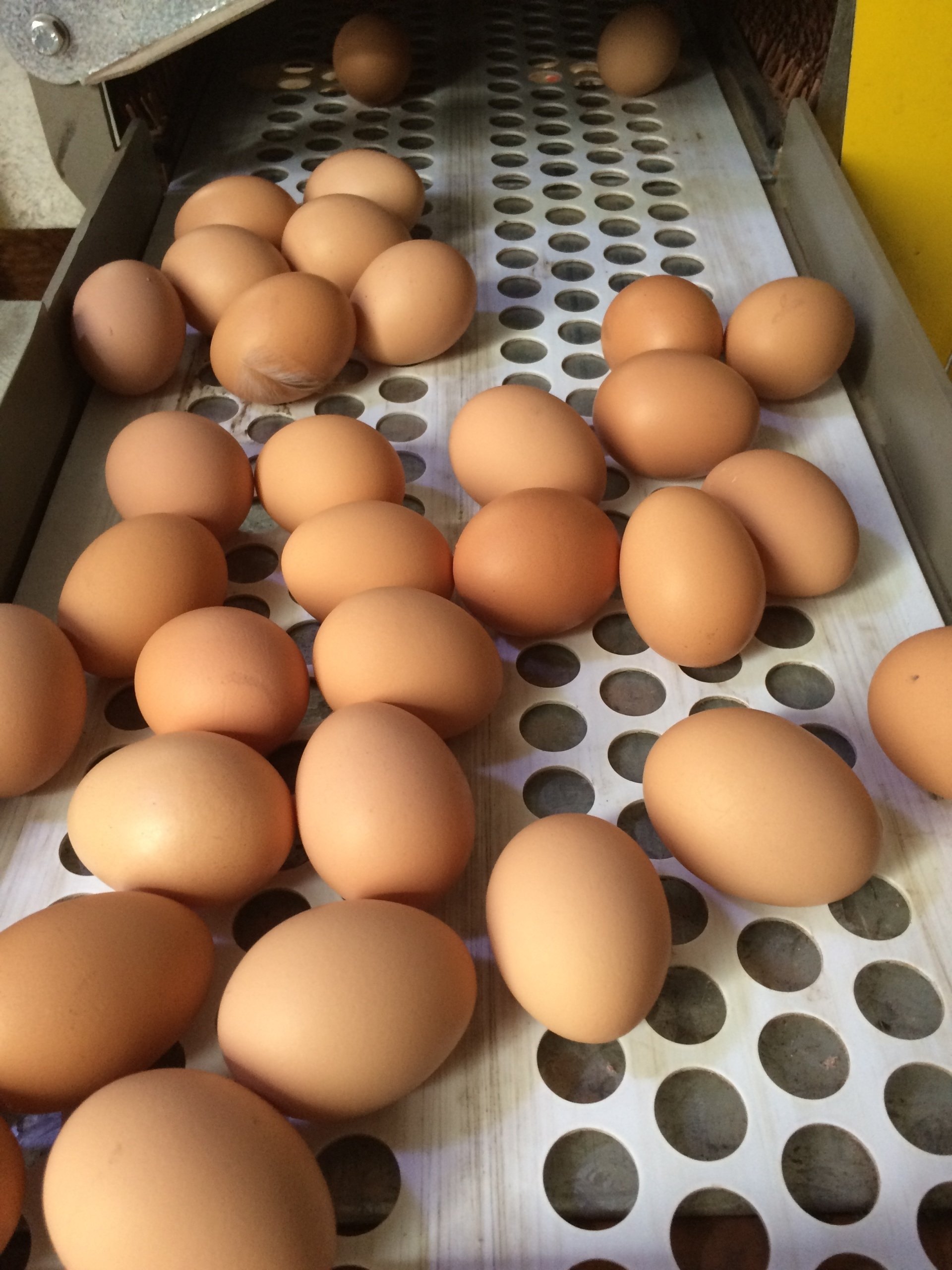 FarmTronics Australia