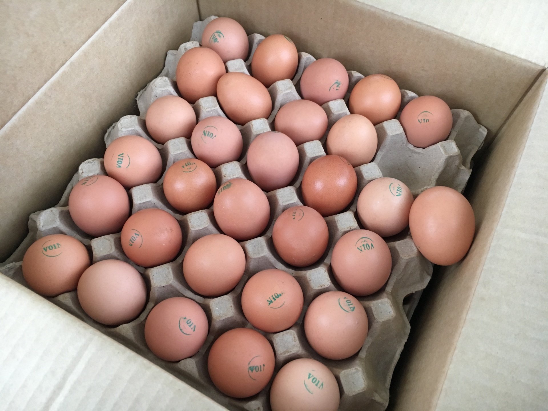 FarmTronics Australia