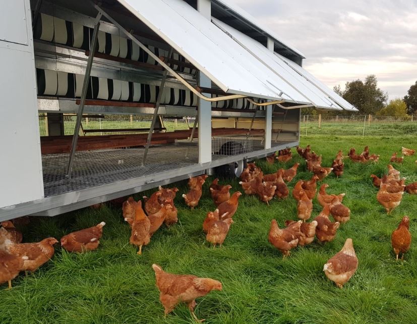 Chicken Caravan Automation