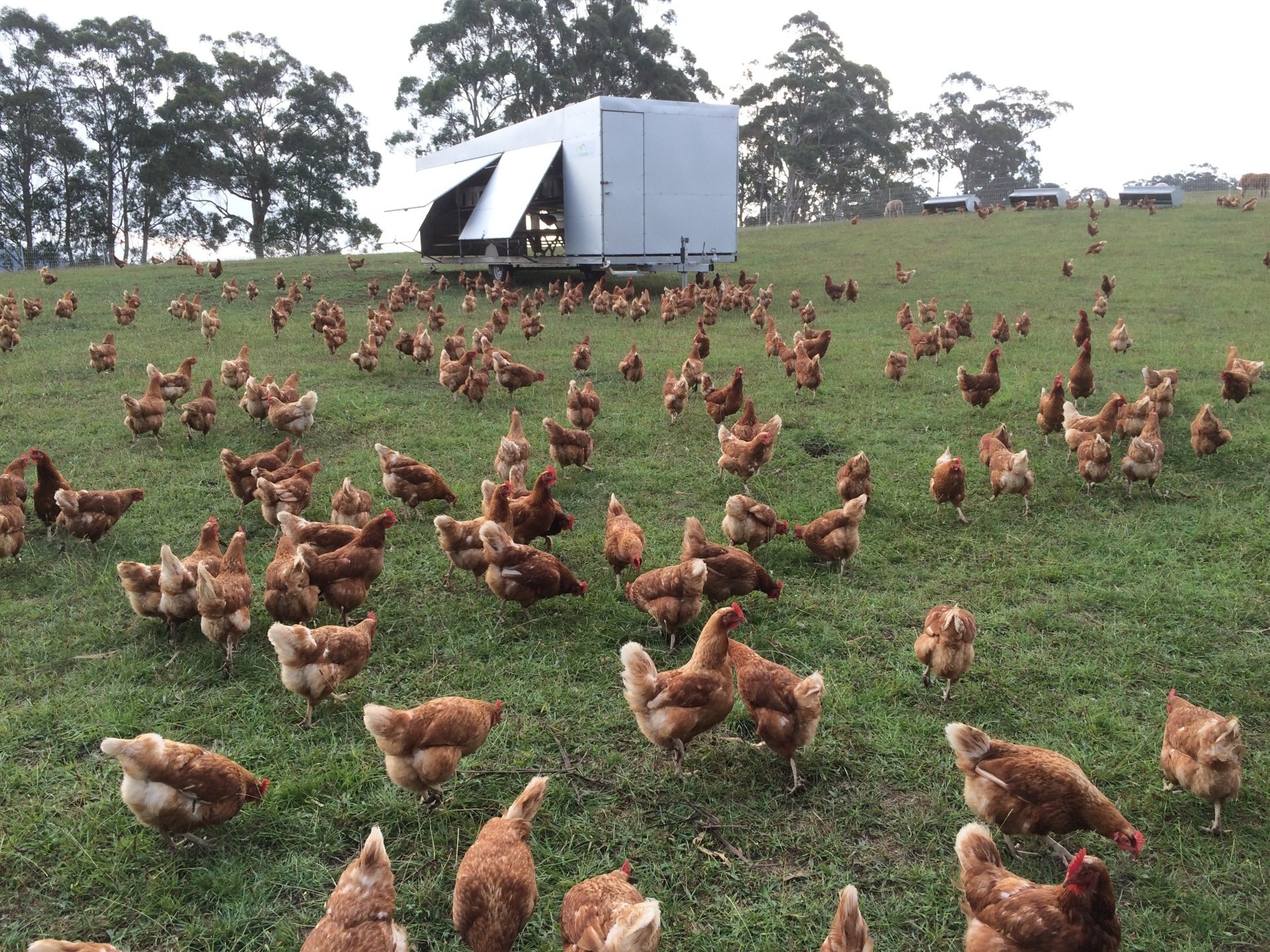 FarmTronics Australia