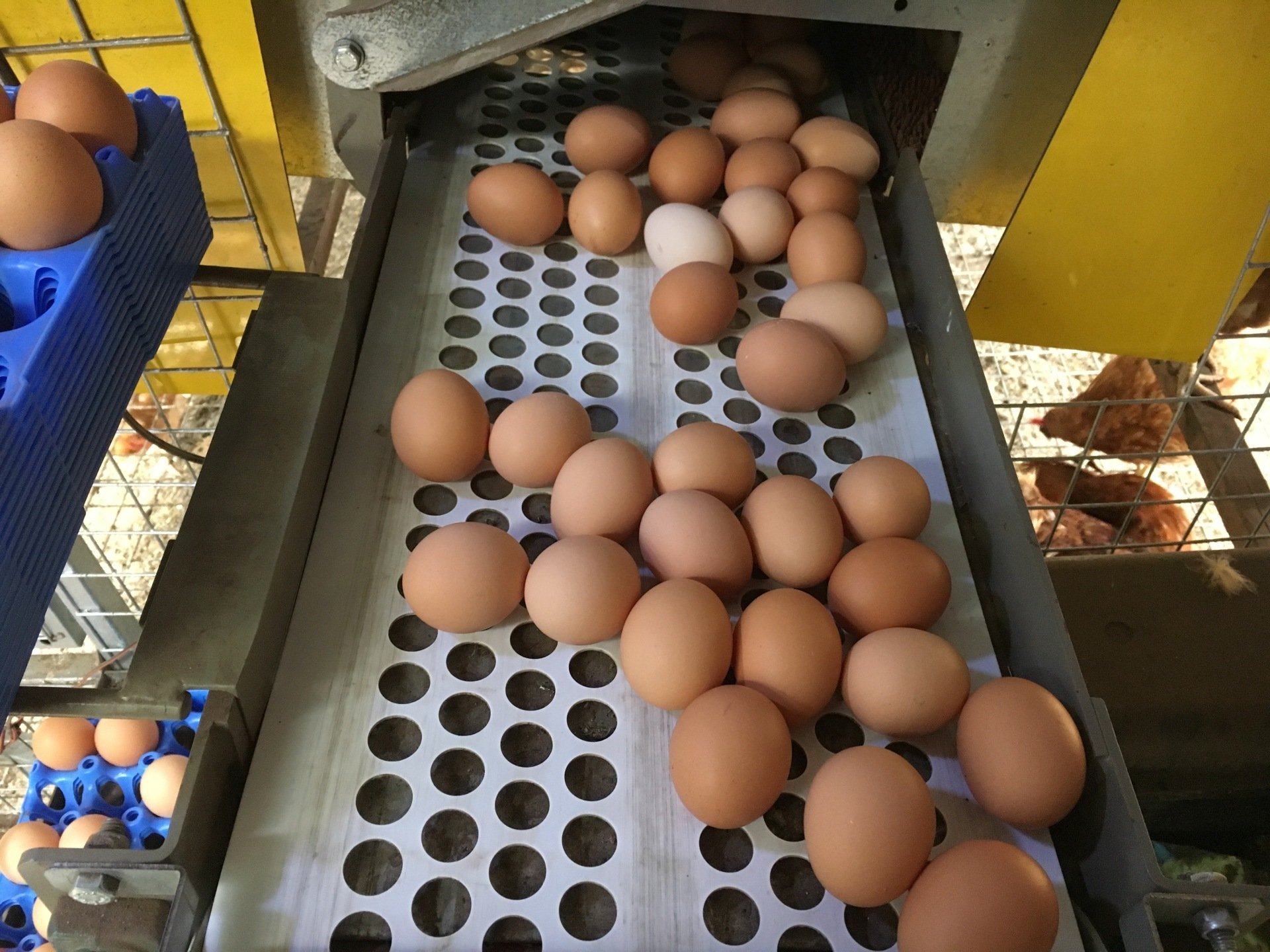 FarmTronics Australia
