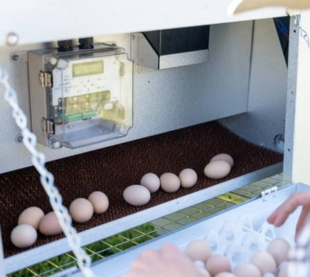 Chicken Caravan Automation