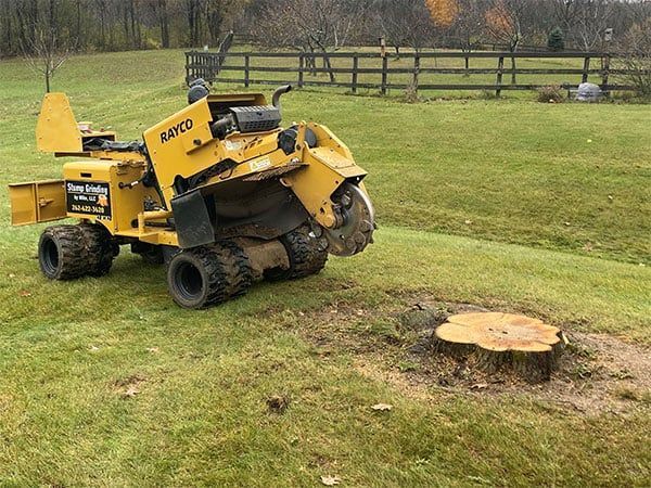 Experienced Stump Grinding | Stump Grinding by Mike LLC