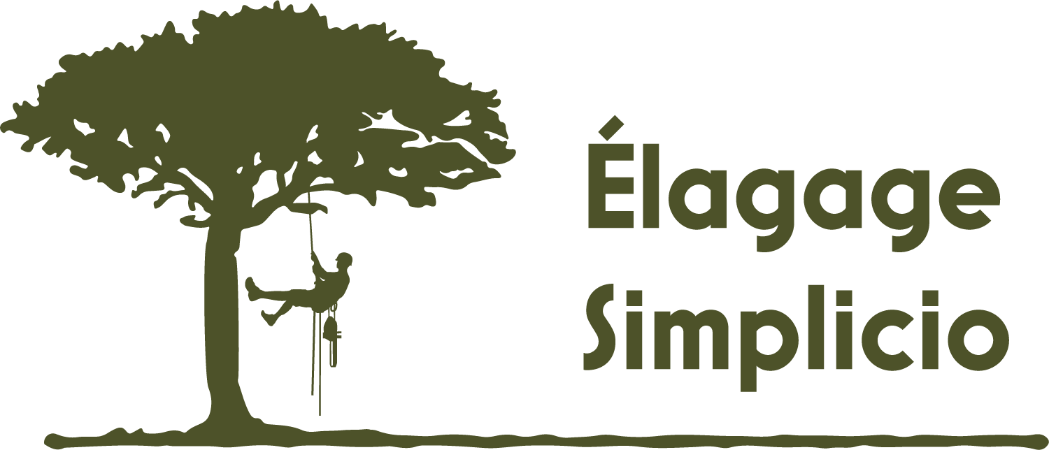 Experts en Élagage | Élagage Simplicio