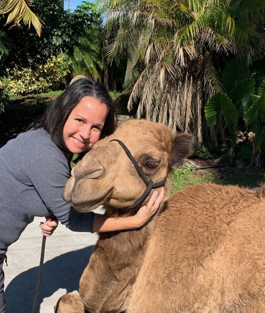 Exotic Animal encounter| Action Promos and Events