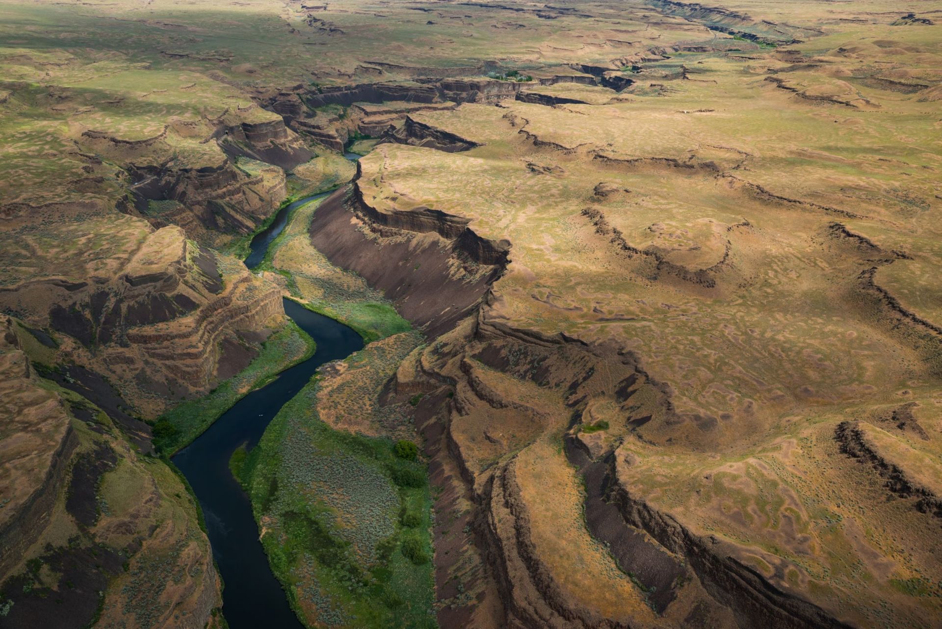 The Channeled Scablands—Everything You Need to Know